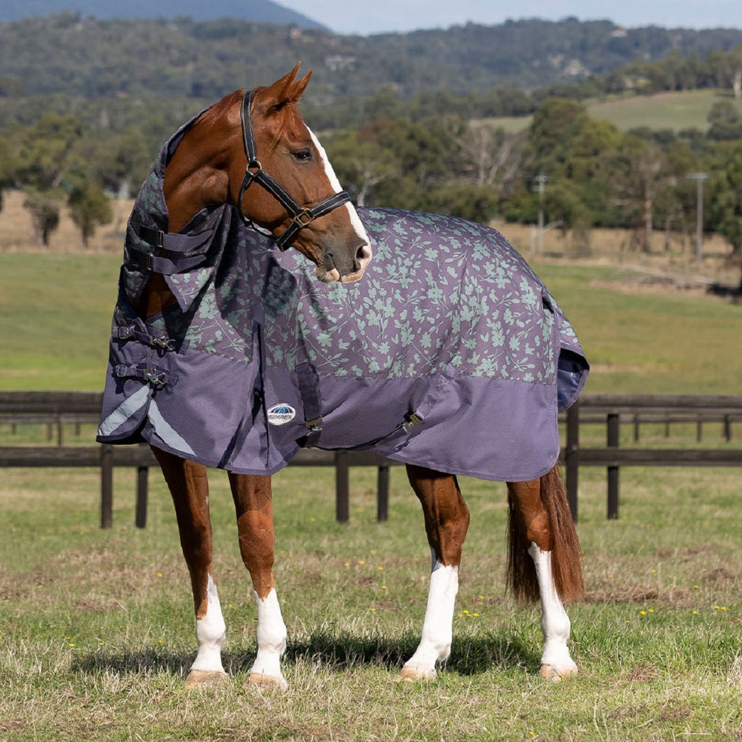Horse Covers and Rugs – HorseSports NZ Equestrian Supplies