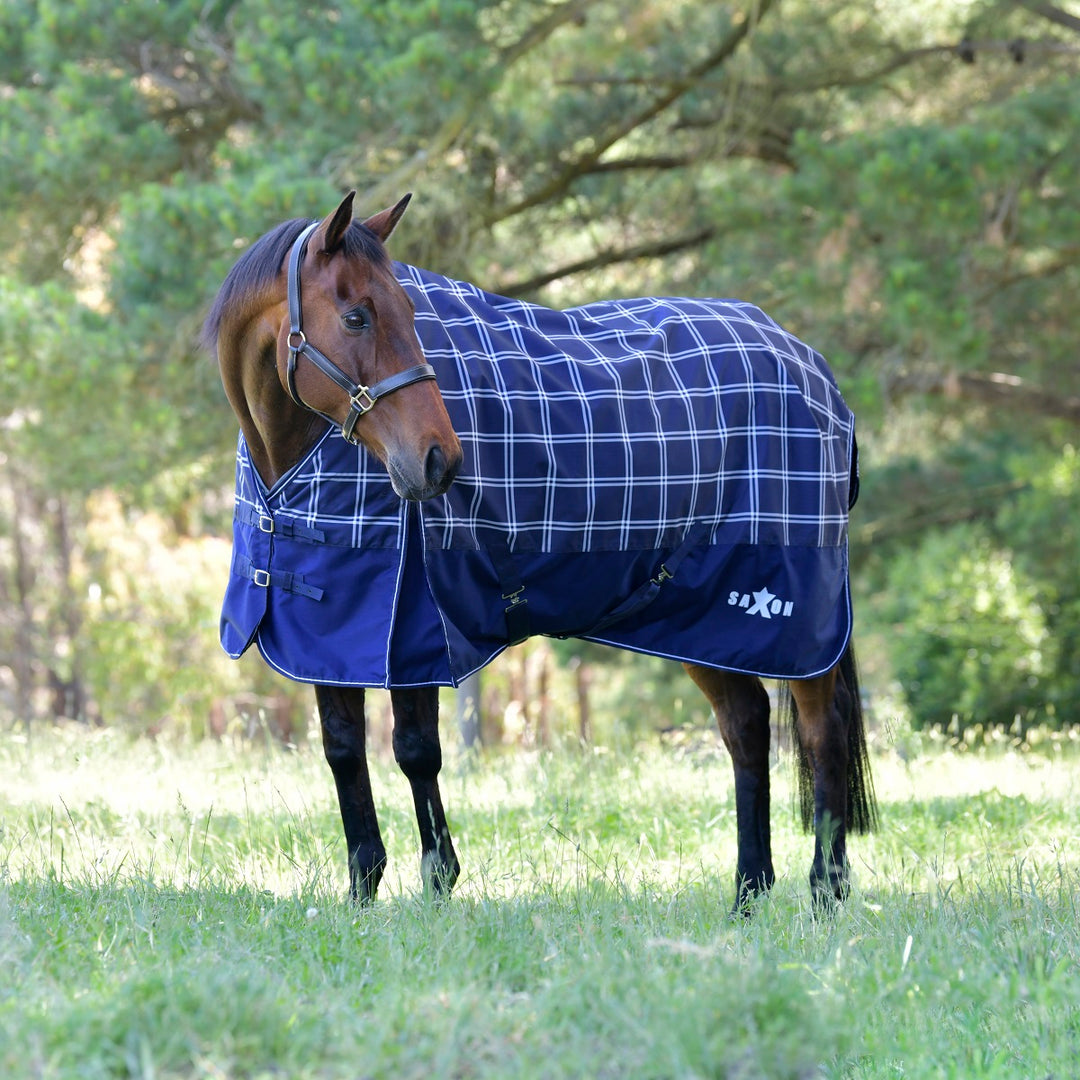 Mid Season Horse Covers & Horse Rugs - Waterproof, Fill & No-fill ...