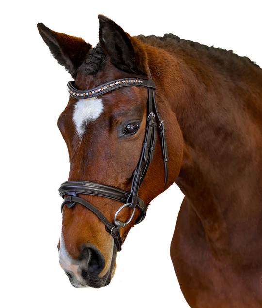 Bridles & Reins – HorseSports NZ Equestrian Supplies