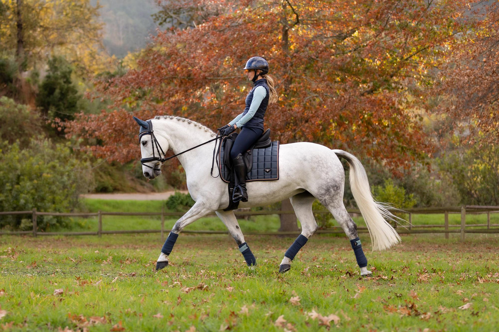 HorseSports | Equestrian Online Tack Shop & Saddlery in Auckland ...