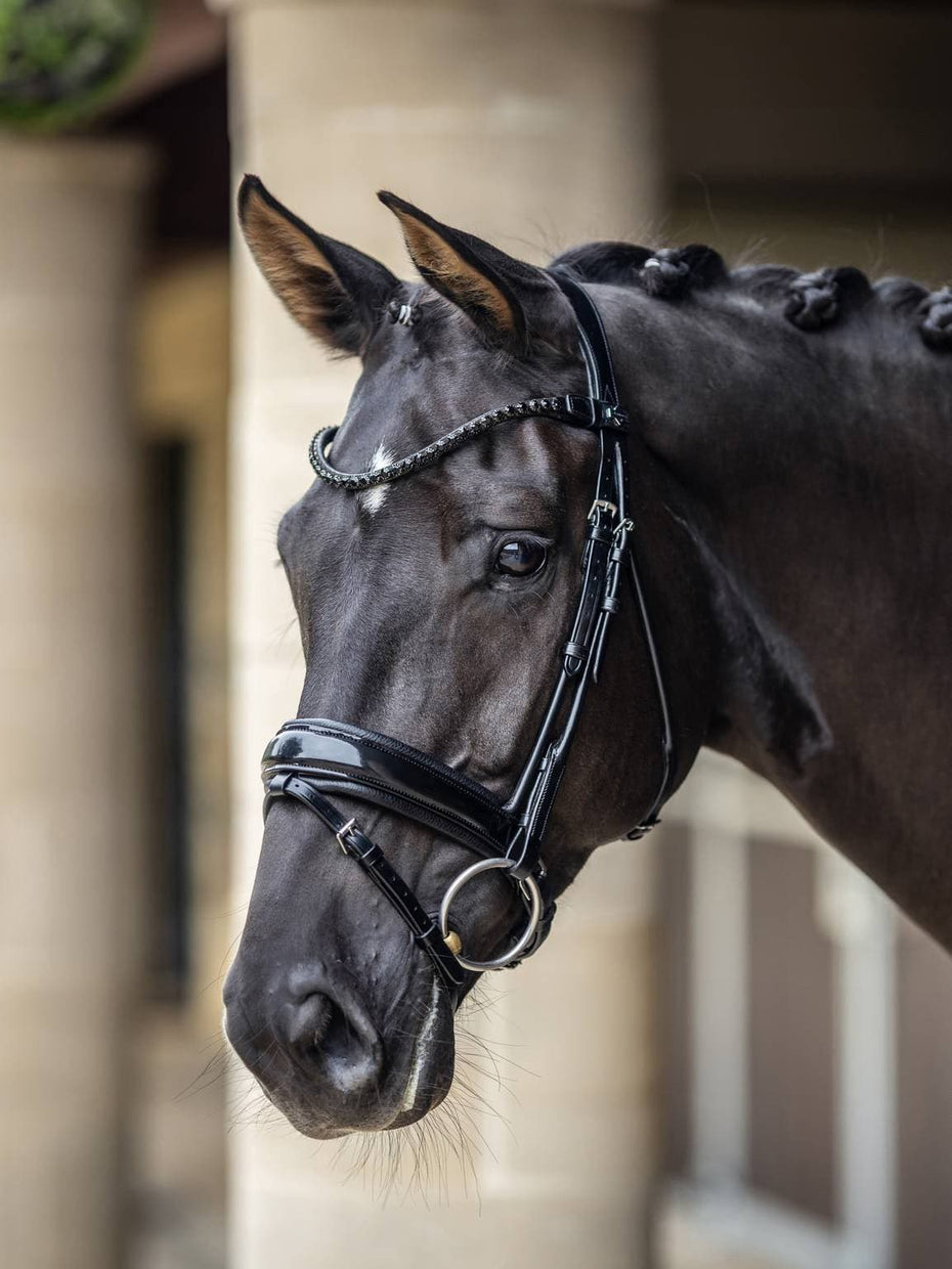 LeMieux Tangle Tidy – HorseSports NZ Equestrian Supplies