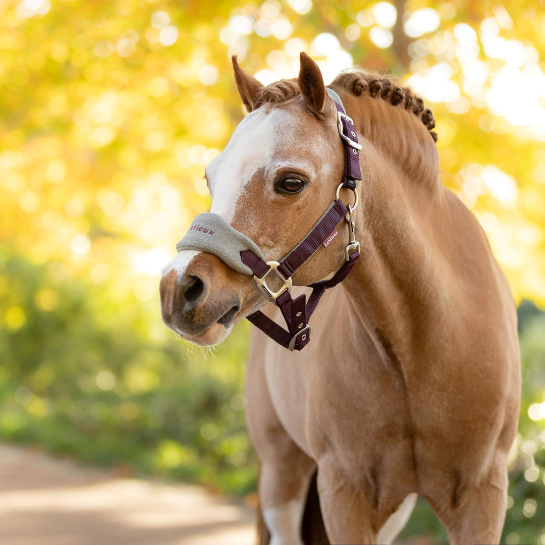 Shop LeMieux online with HorseSports. LeMieux Saddle Pads & Rider Wear ...