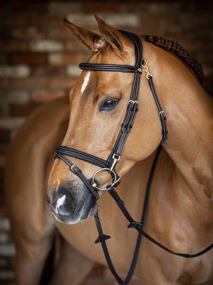 Bridles & Reins – HorseSports NZ Equestrian Supplies