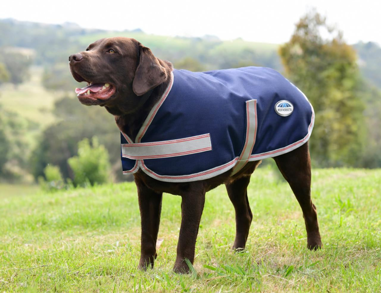 Weatherbeeta ComFiTec EssentialPlus Parka Dog Coat – HorseSports NZ ...