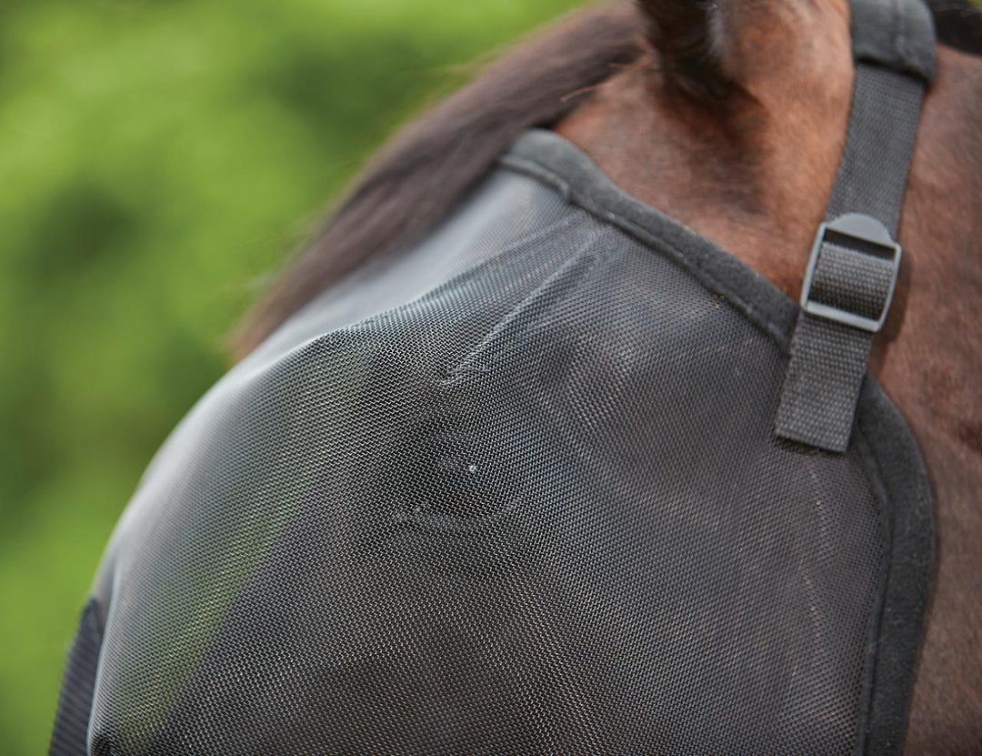 Fly Masks & Boots – HorseSports NZ Equestrian Supplies