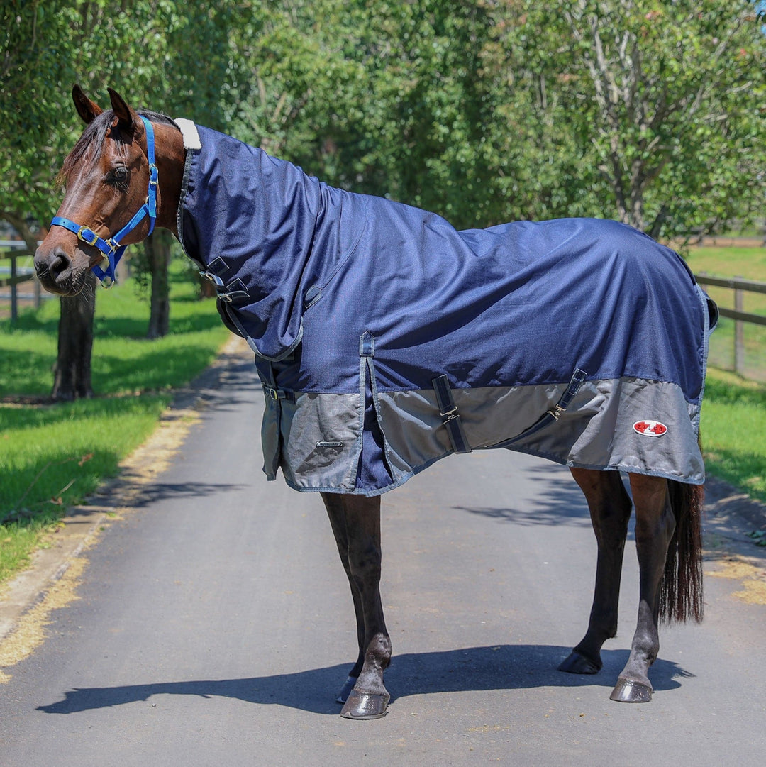 Winter Horse Covers. Winter Horse Rugs. Weatherbeeta, Zilco, NZ Wide ...