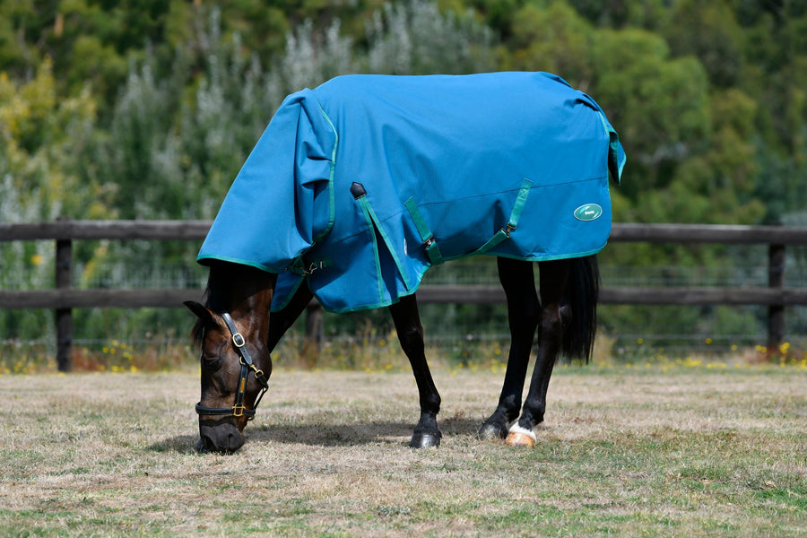 Horse Covers For Sale. Winter Covers, Summer Sheets, Stable & Show Rugs ...