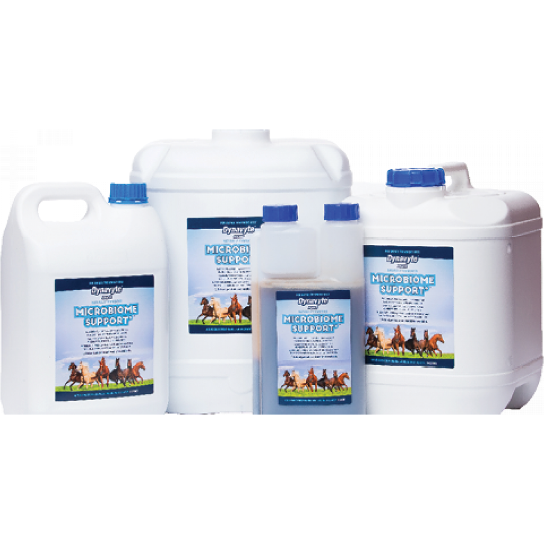 Horse Supplements for General Good Health | Horse Supplements Online ...